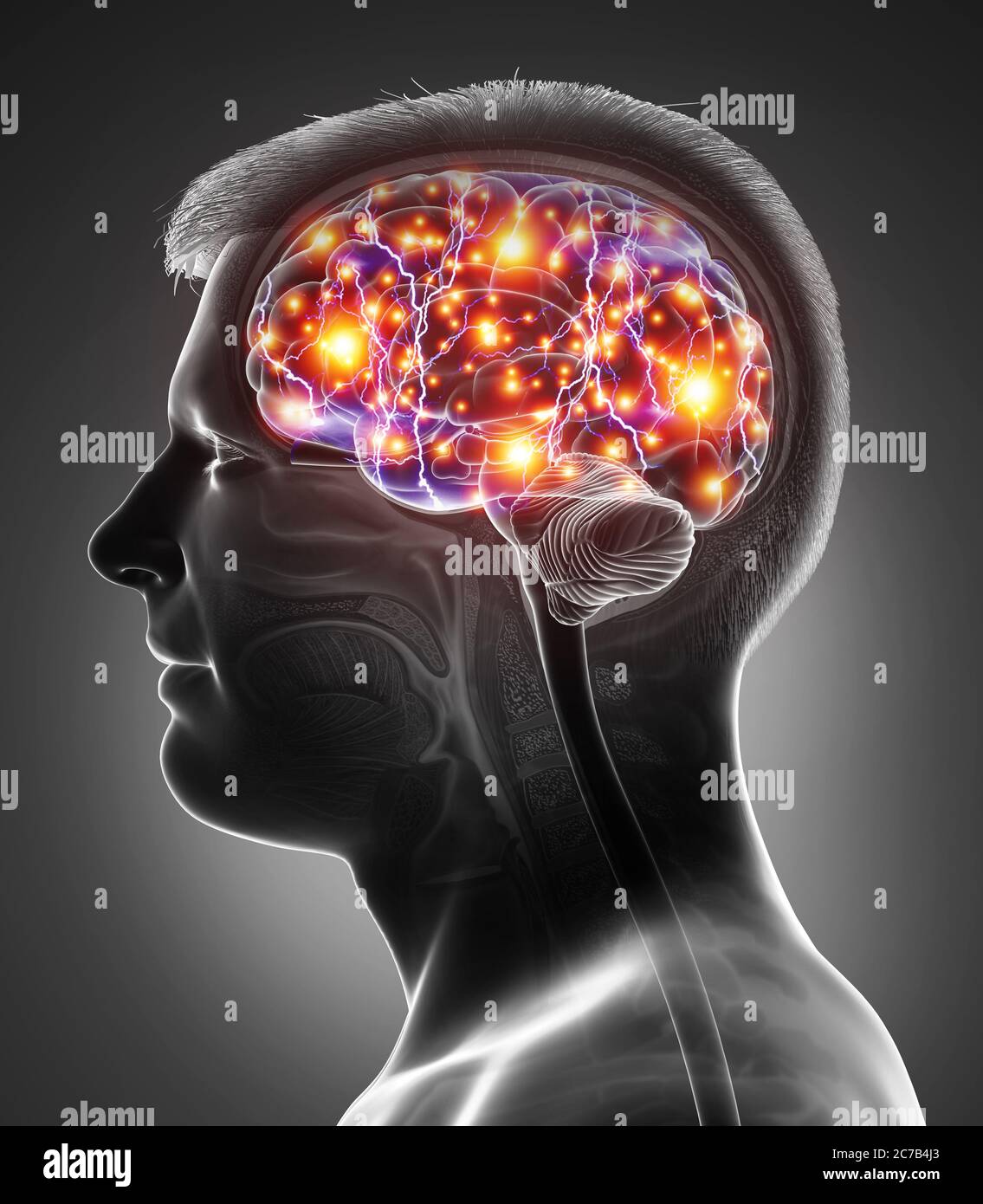 3d rendered, medically accurate illustration of a male active brain ...