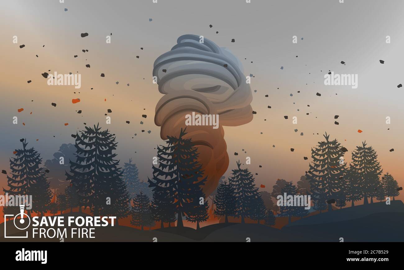 Wood tree trees alarm forest hi-res stock photography and images - Alamy