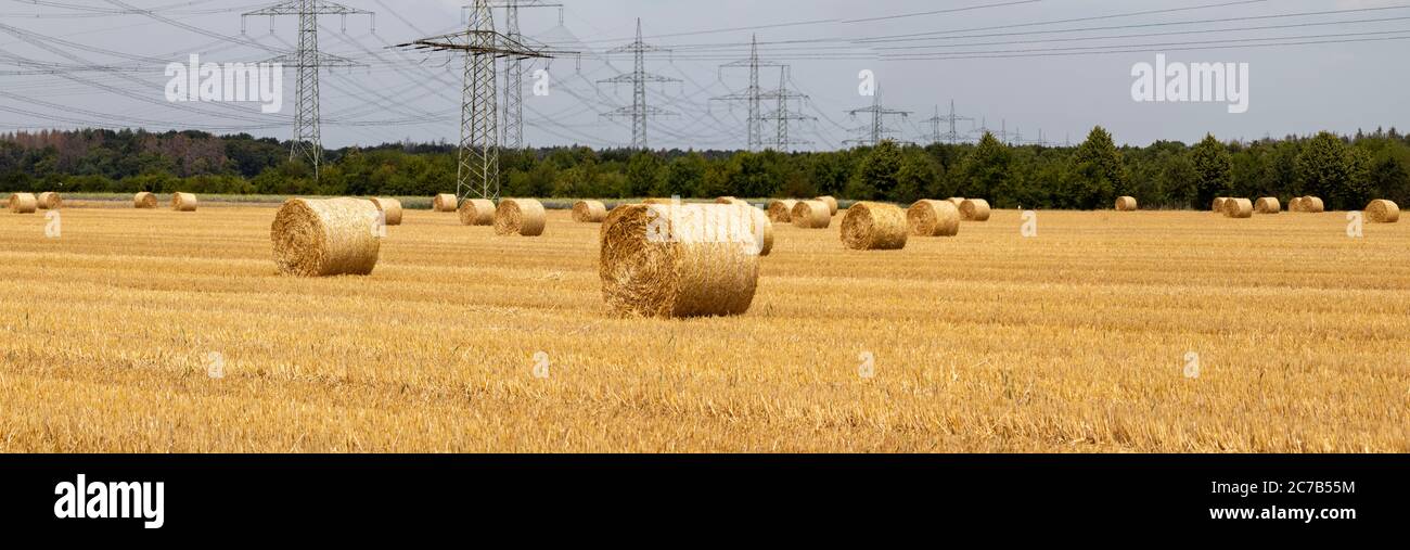 hay bundles on a harvested field, panorama Stock Photo - Alamy