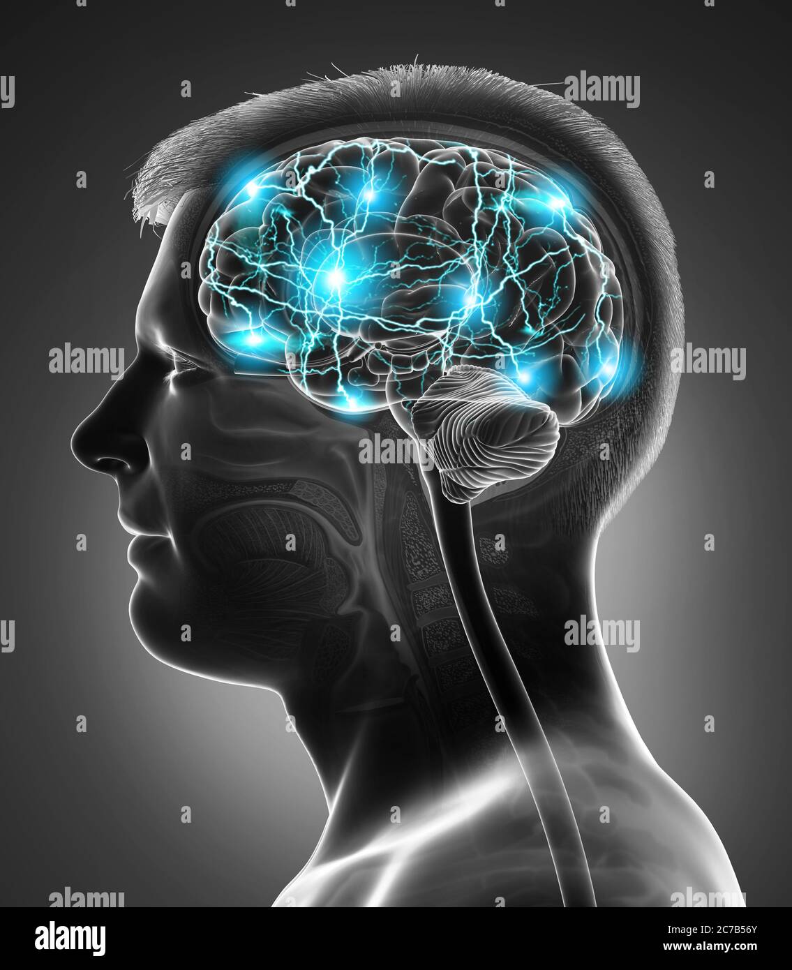 3d rendered, medically accurate illustration of a male active brain ...