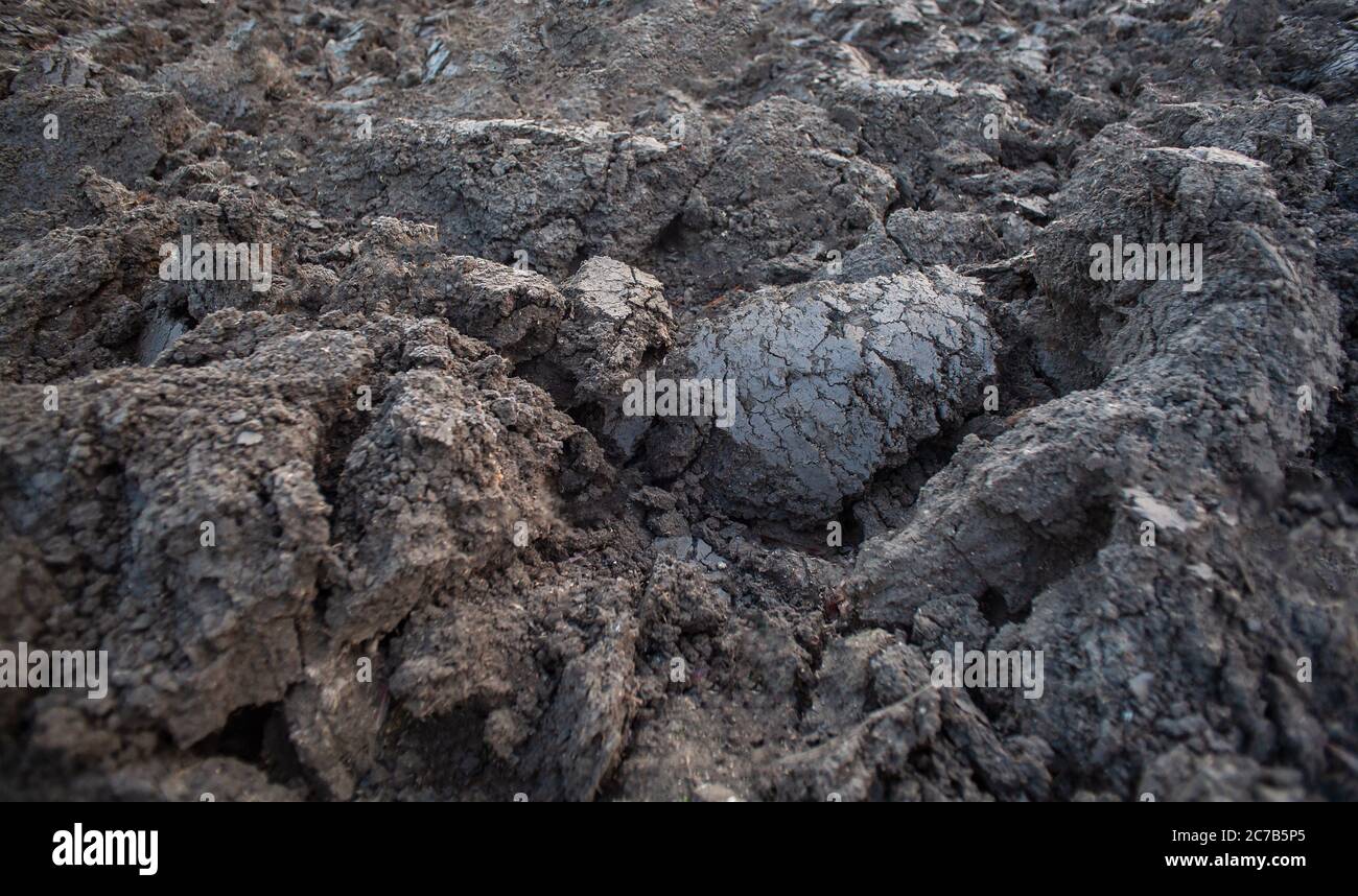 Natural textured basckground of plowed land without plants. Deep depth ...