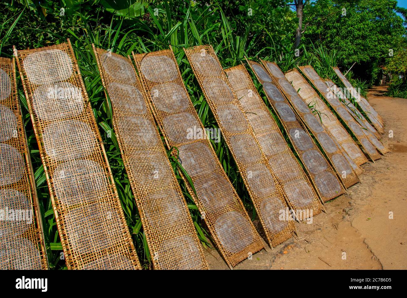 Rice paper wrappers drying on bamboo rack along the road near the city ...
