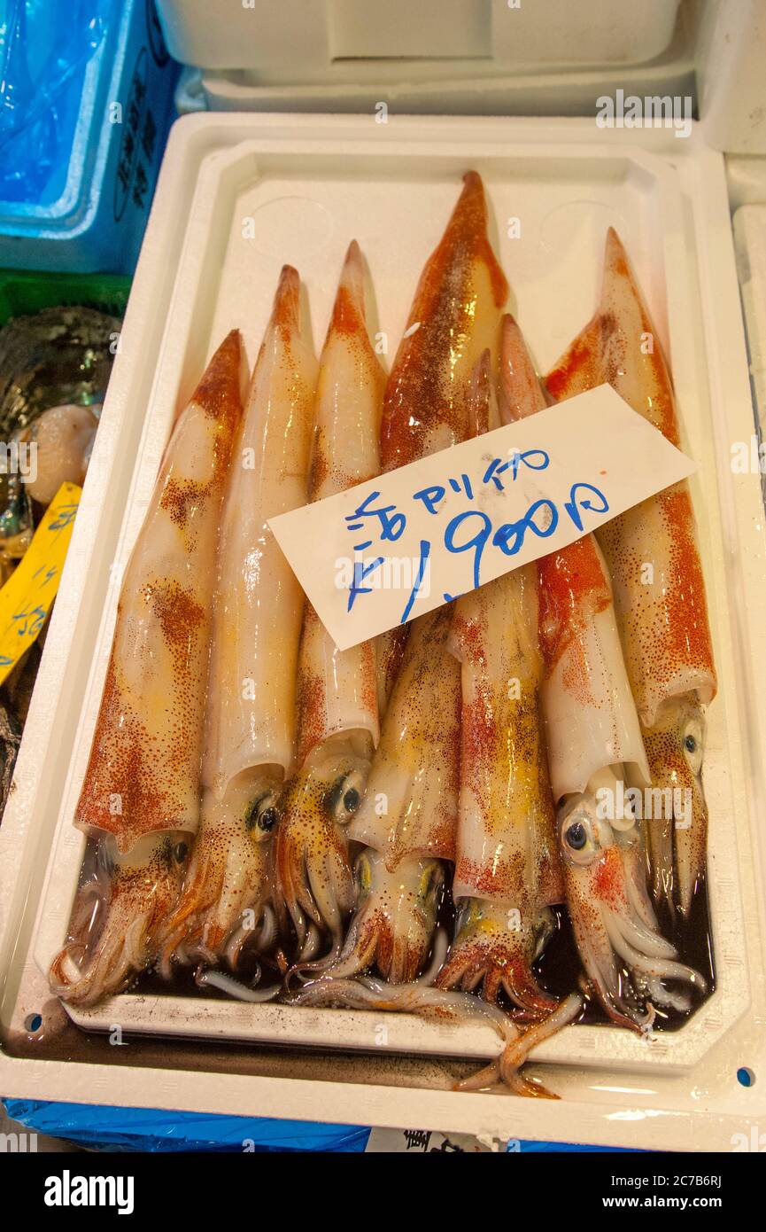 Squid japan hi-res stock photography and images - Alamy