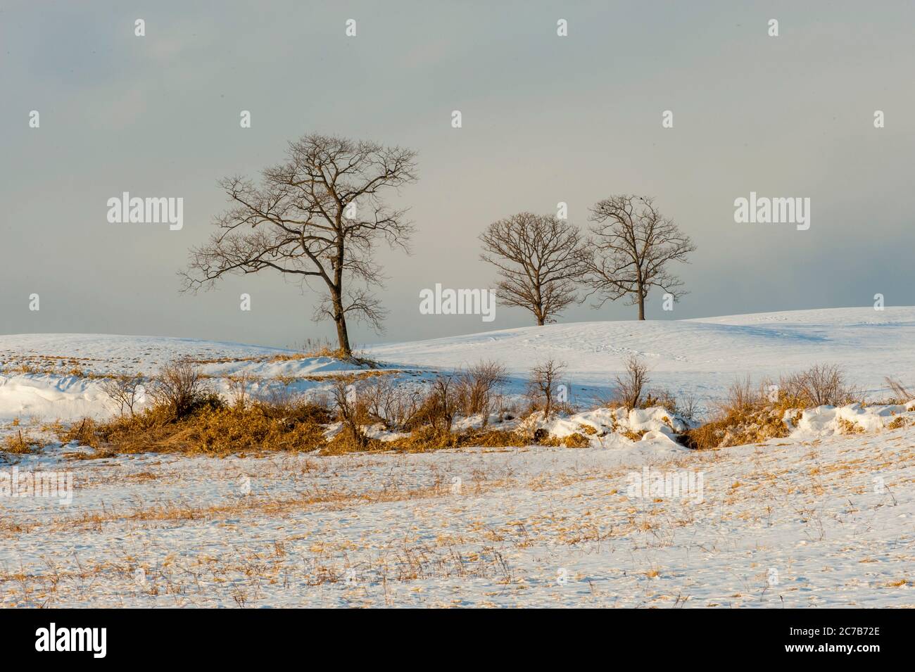 A winter scene with farmland in the snow near the small village of ...