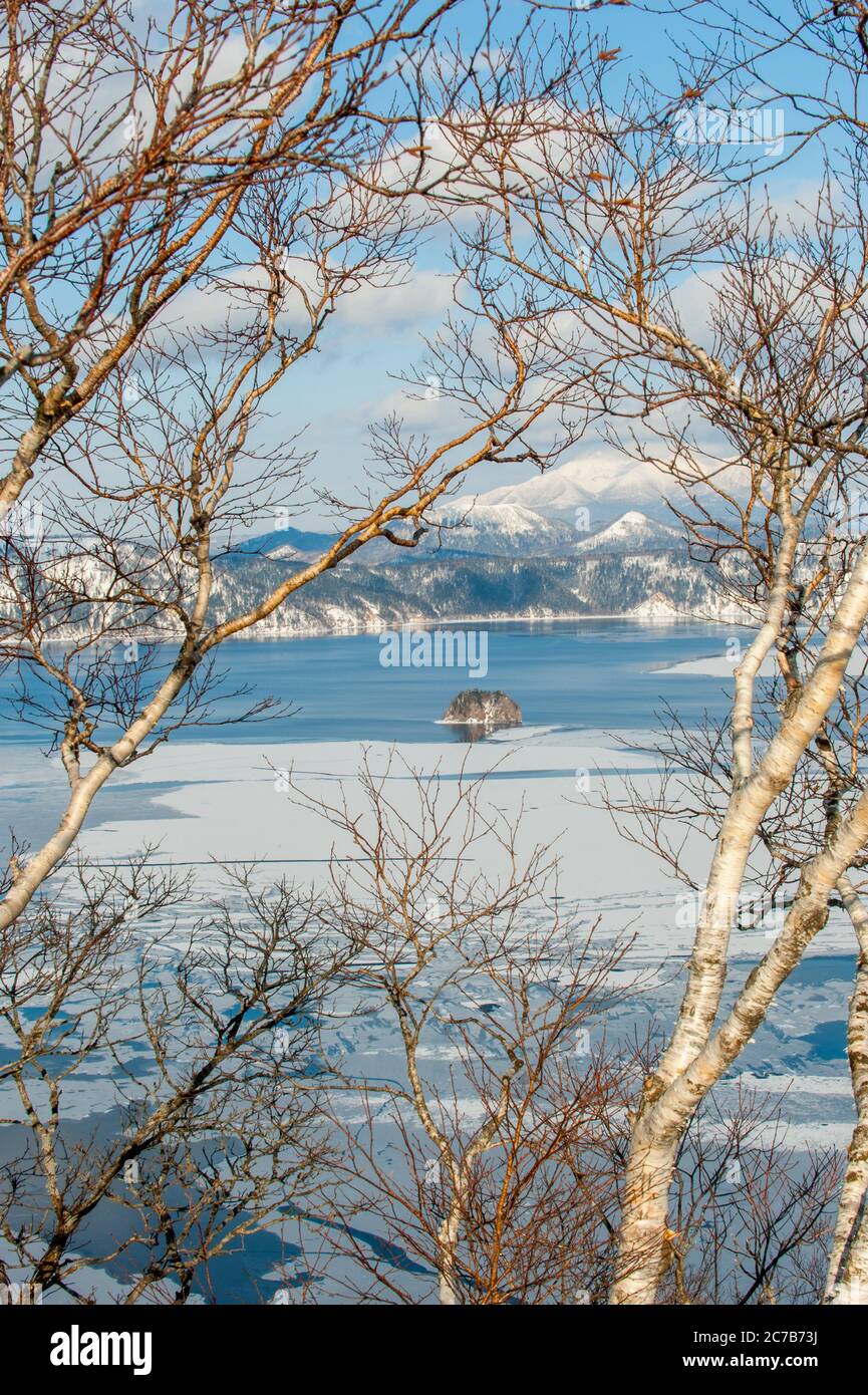 Birch trees on the slopes of Lake Mashu, which is a caldera lake in ...