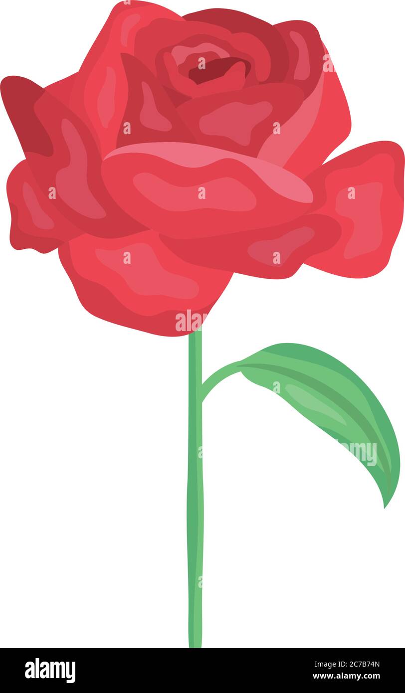 red rose icon over white background, detailed style, vector ...