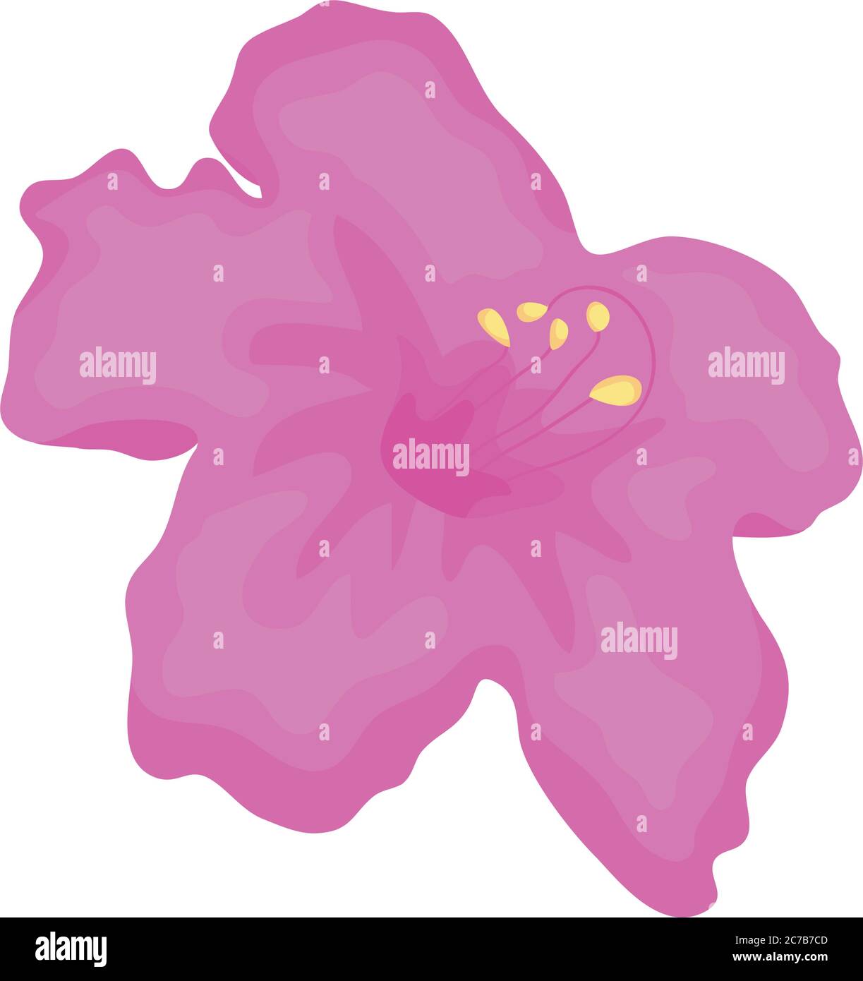 pink hibiscus flower icon over white background, detailed style, vector ...