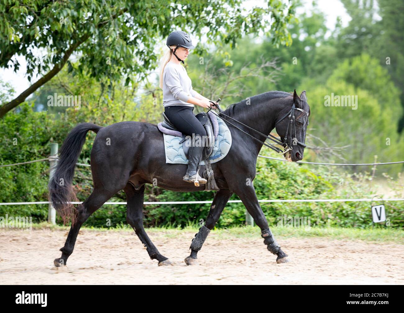 riding girl are training her black horse Stock Photo - Alamy