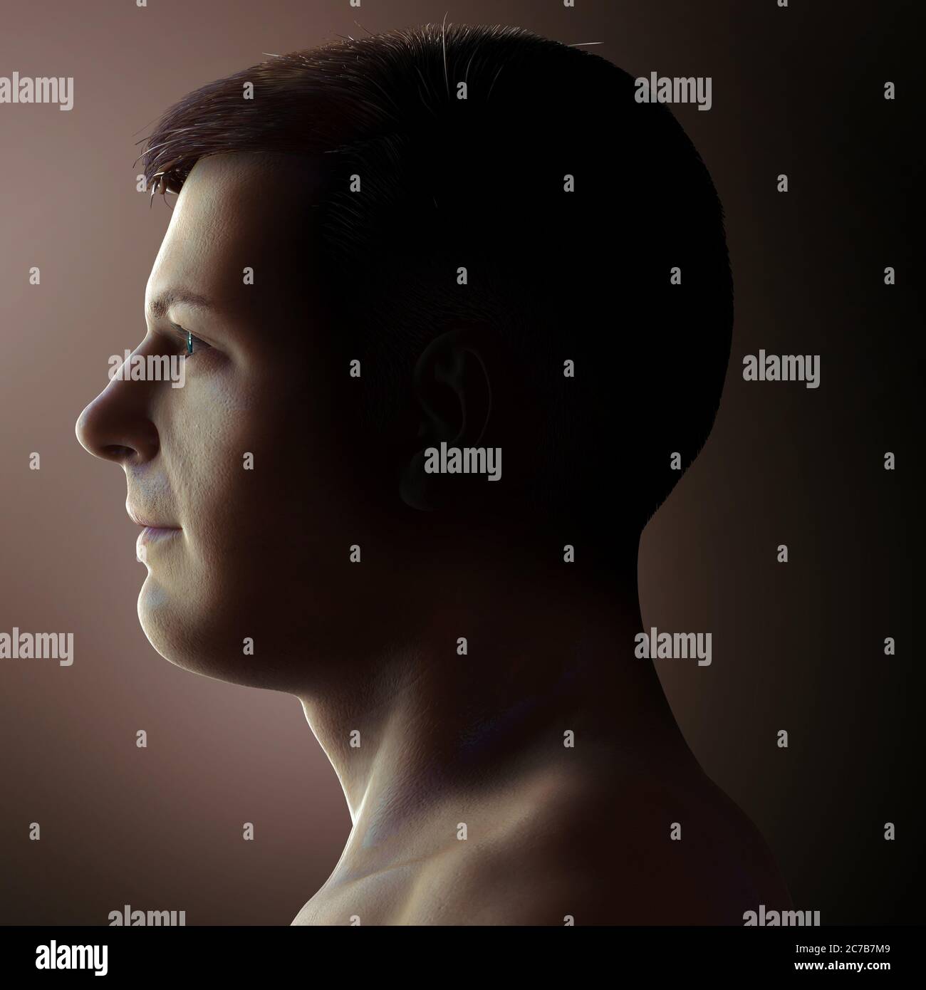 3d rendered medically accurate illustration of a male head anatomy ...