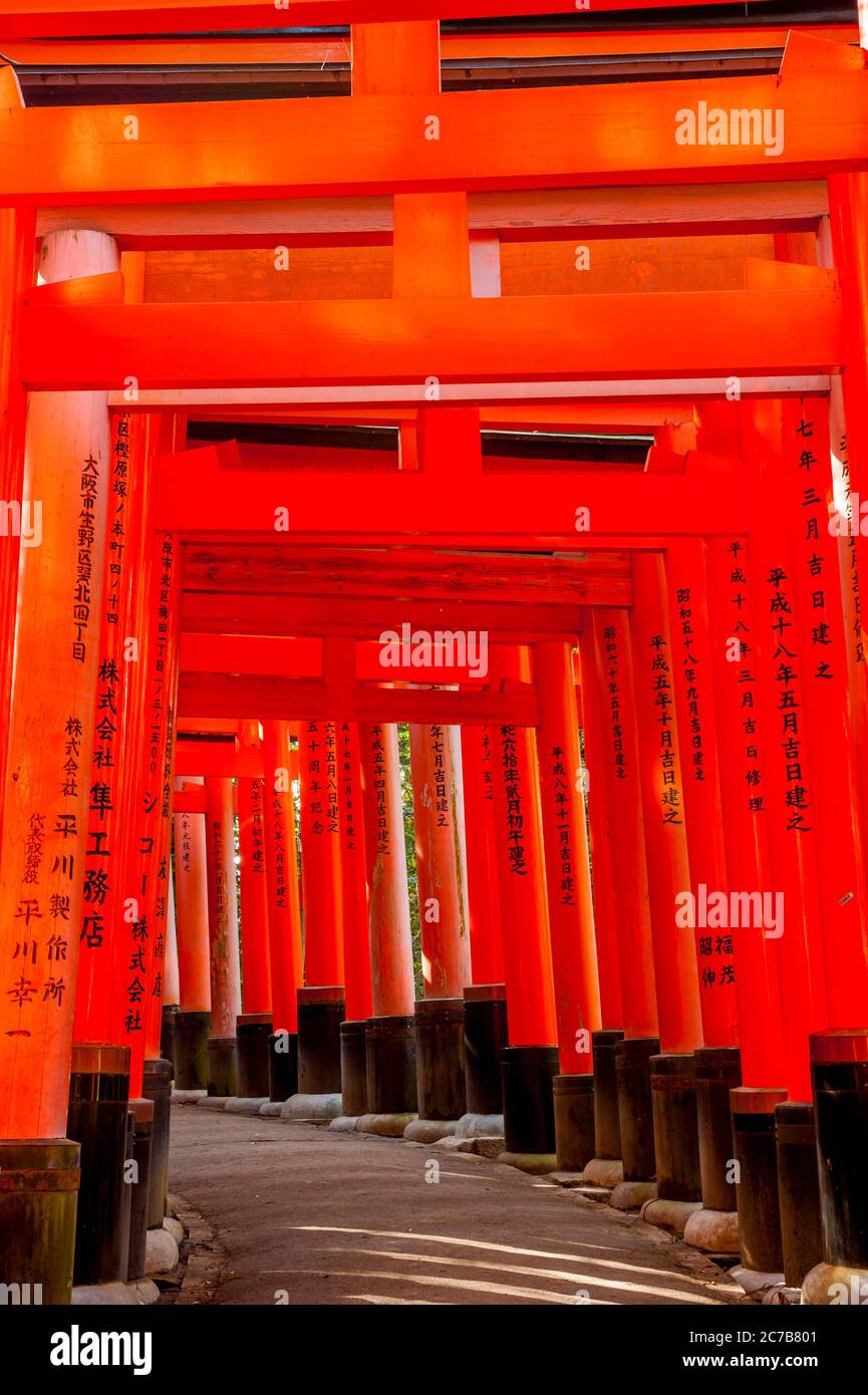 Tori gates hi-res stock photography and images - Alamy
