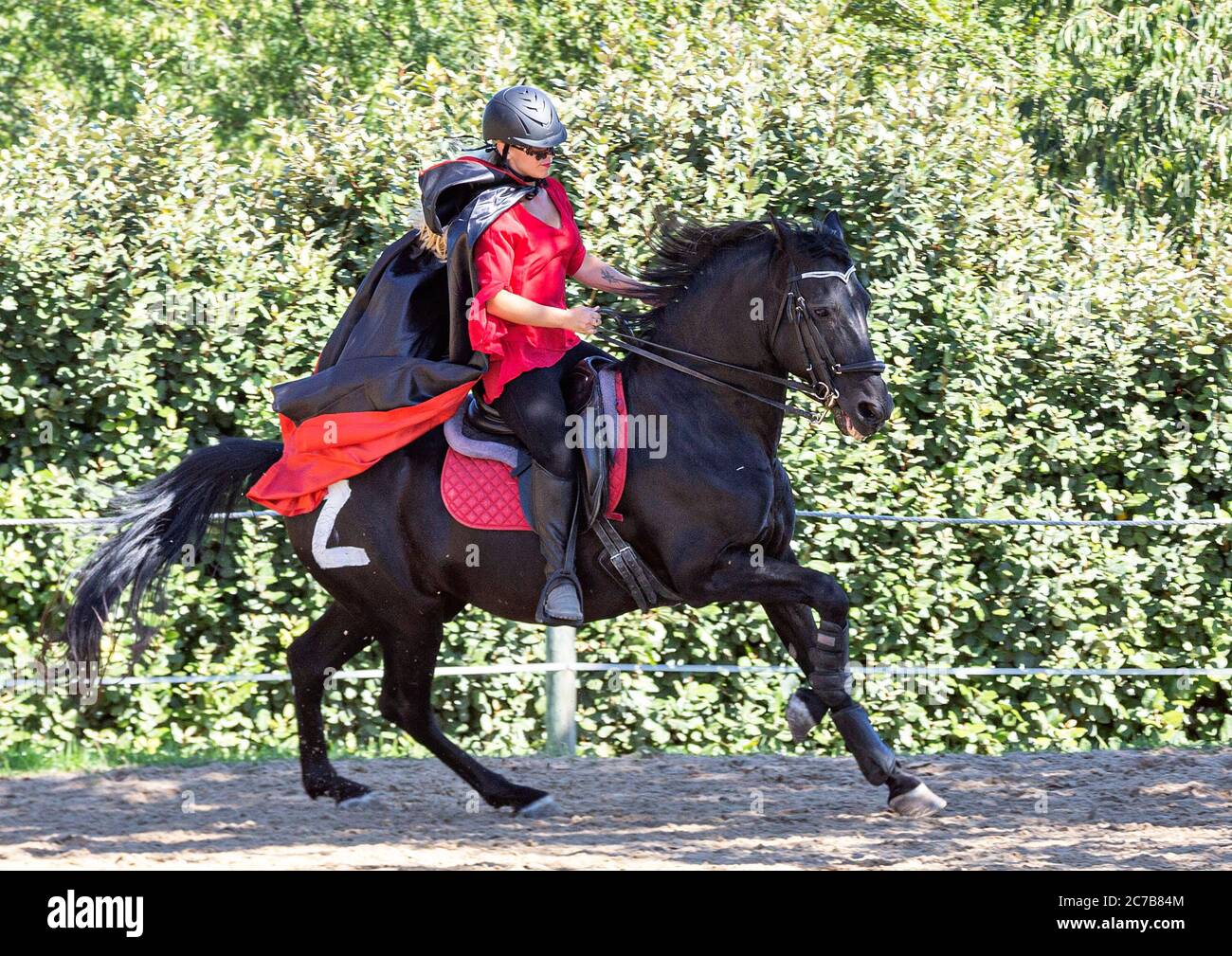 riding girl are training her black horse Stock Photo - Alamy