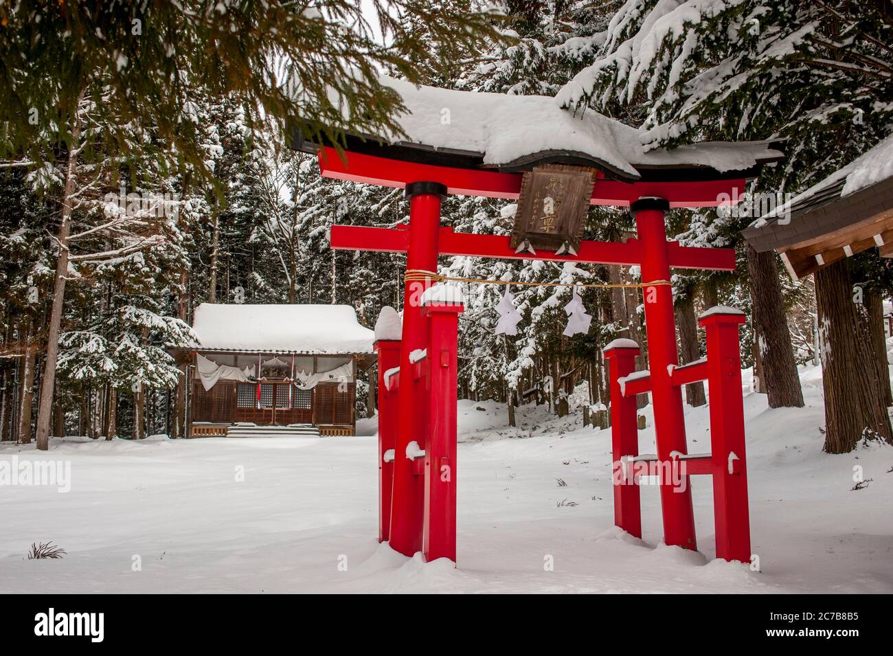 A snow covered Torii gate in front of a Shinto shrine at Jigokudani ...