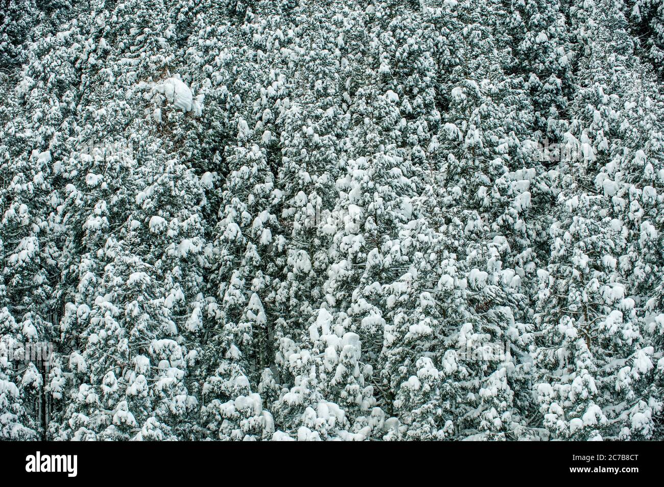 Japan honshu island nagano hi-res stock photography and images - Alamy