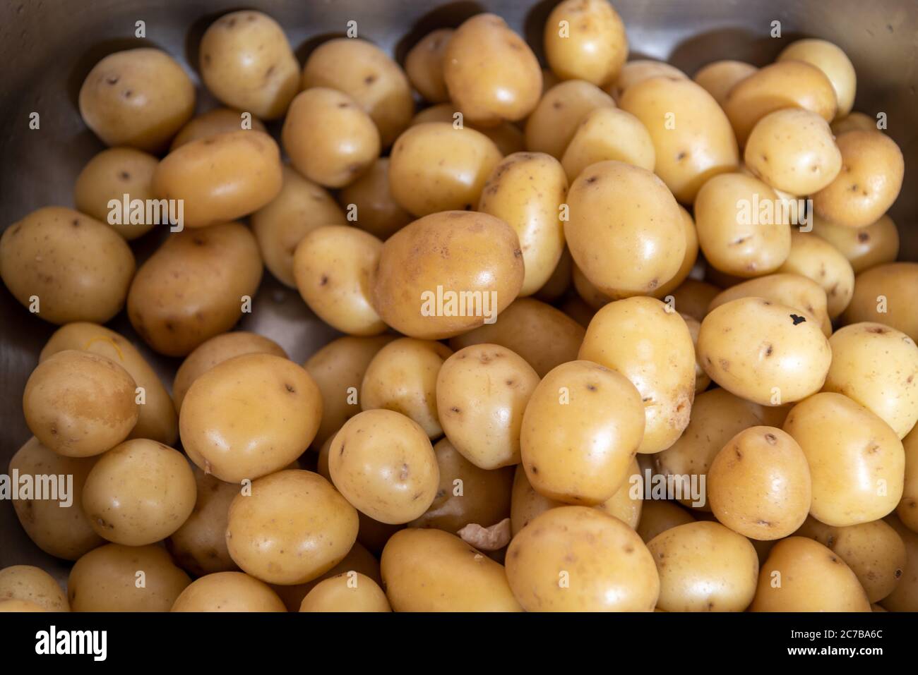 A batch of steamed English potatoes to be used in Brazilian cuisine for ...