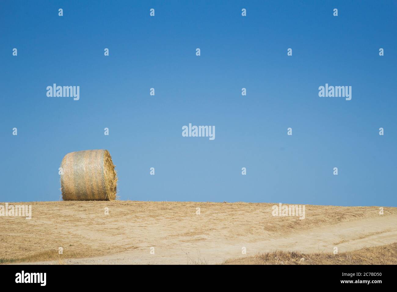 Tuscany empty field background with a single hay barrel and blue sky ...