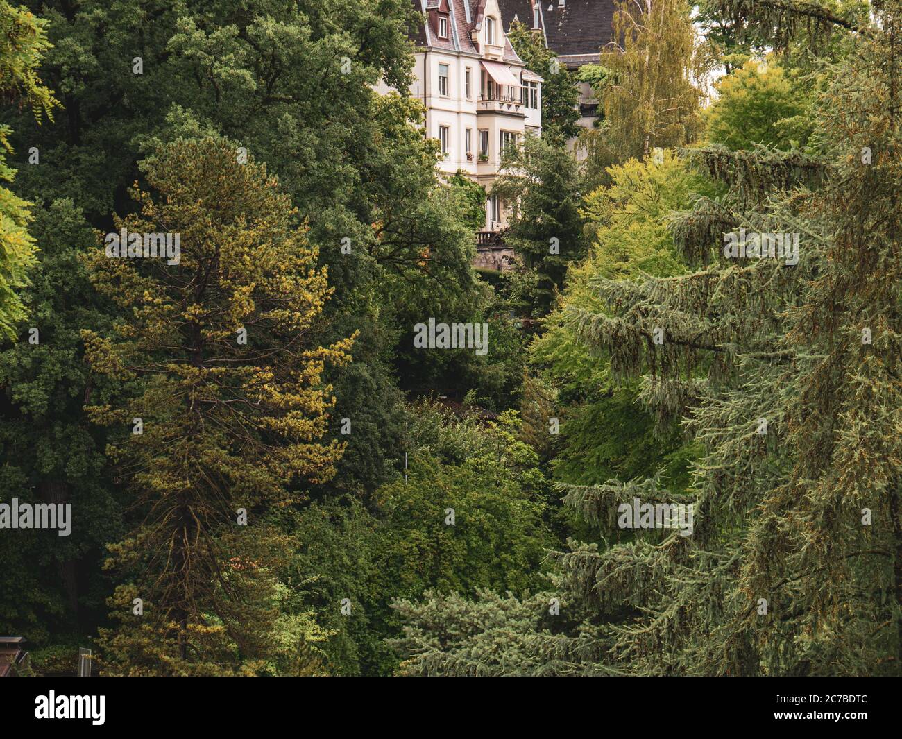 Lush green doorways, paths, gardens and buildings of a neighbourhood ...