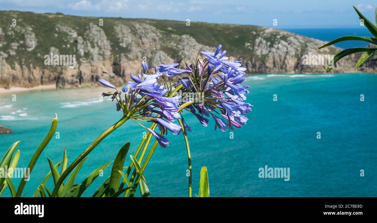 Minack theatre ocean view hi-res stock photography and images - Alamy