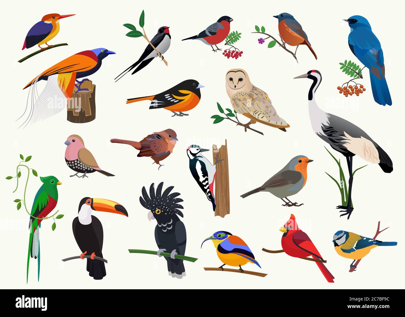 Various cartoon birds set for any visual design Stock Vector Image ...