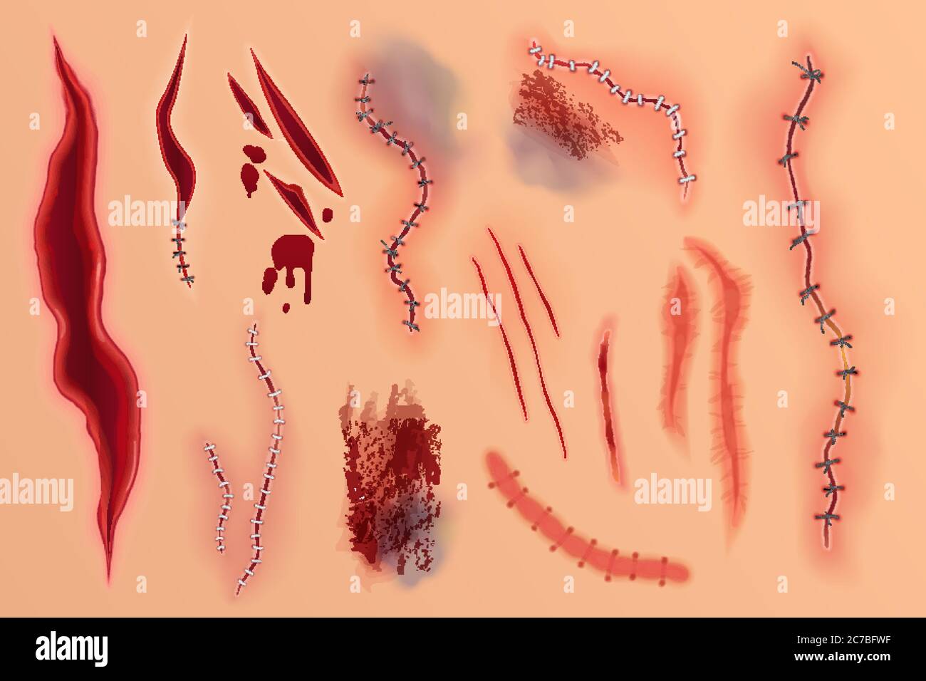 Belly scratch Stock Vector Images - Alamy