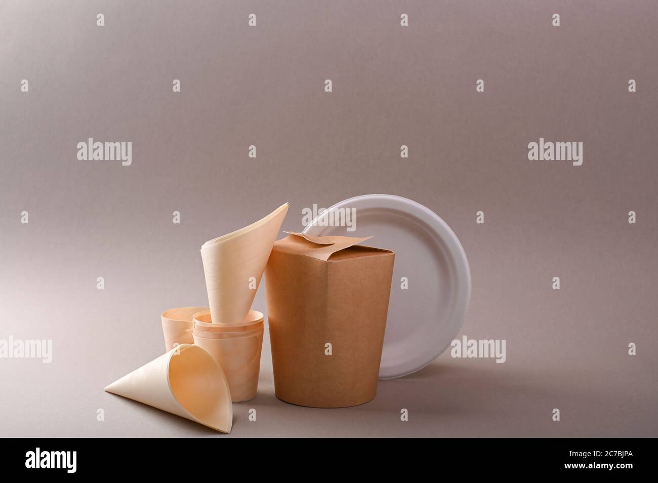 Paper dishes, craft design for fast food, catering, takeaway. The ...