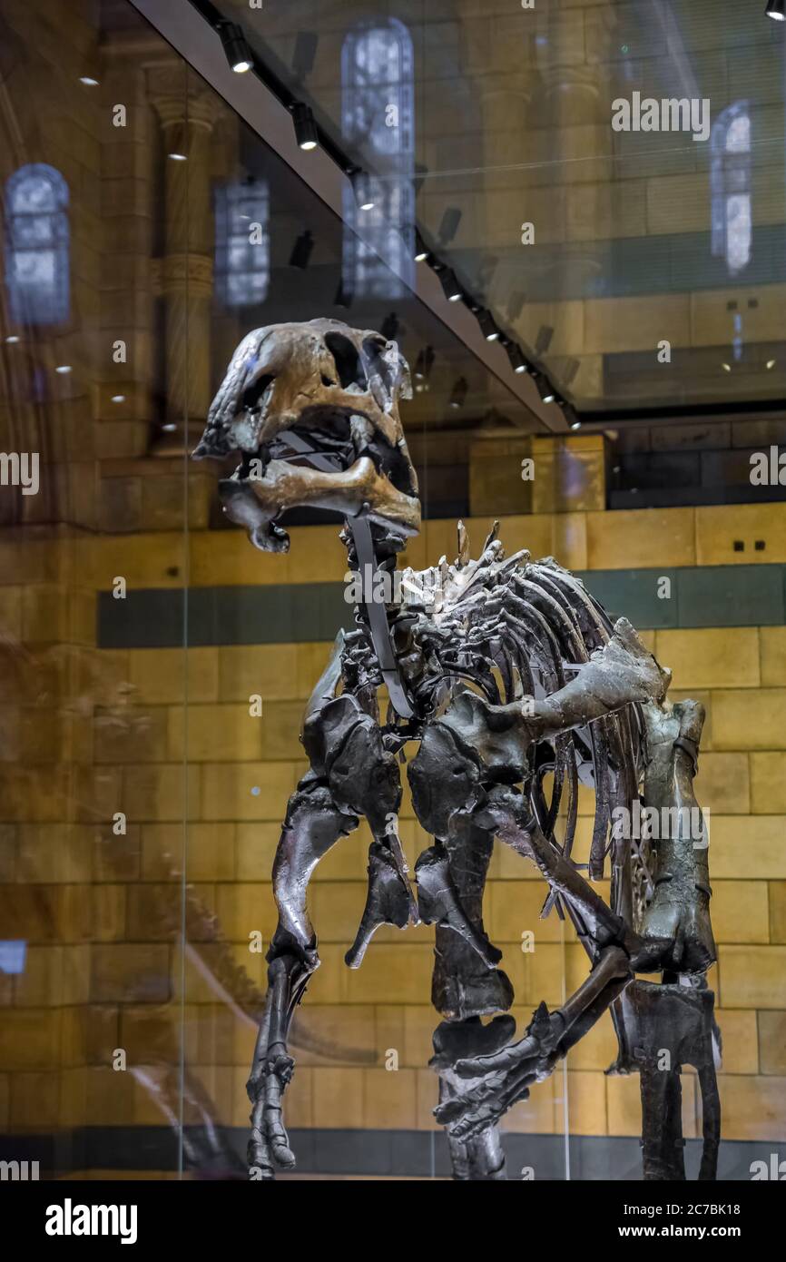 London, United Kingdom. Circa August 2017. Dinosaur (Mantellisaurus) in ...