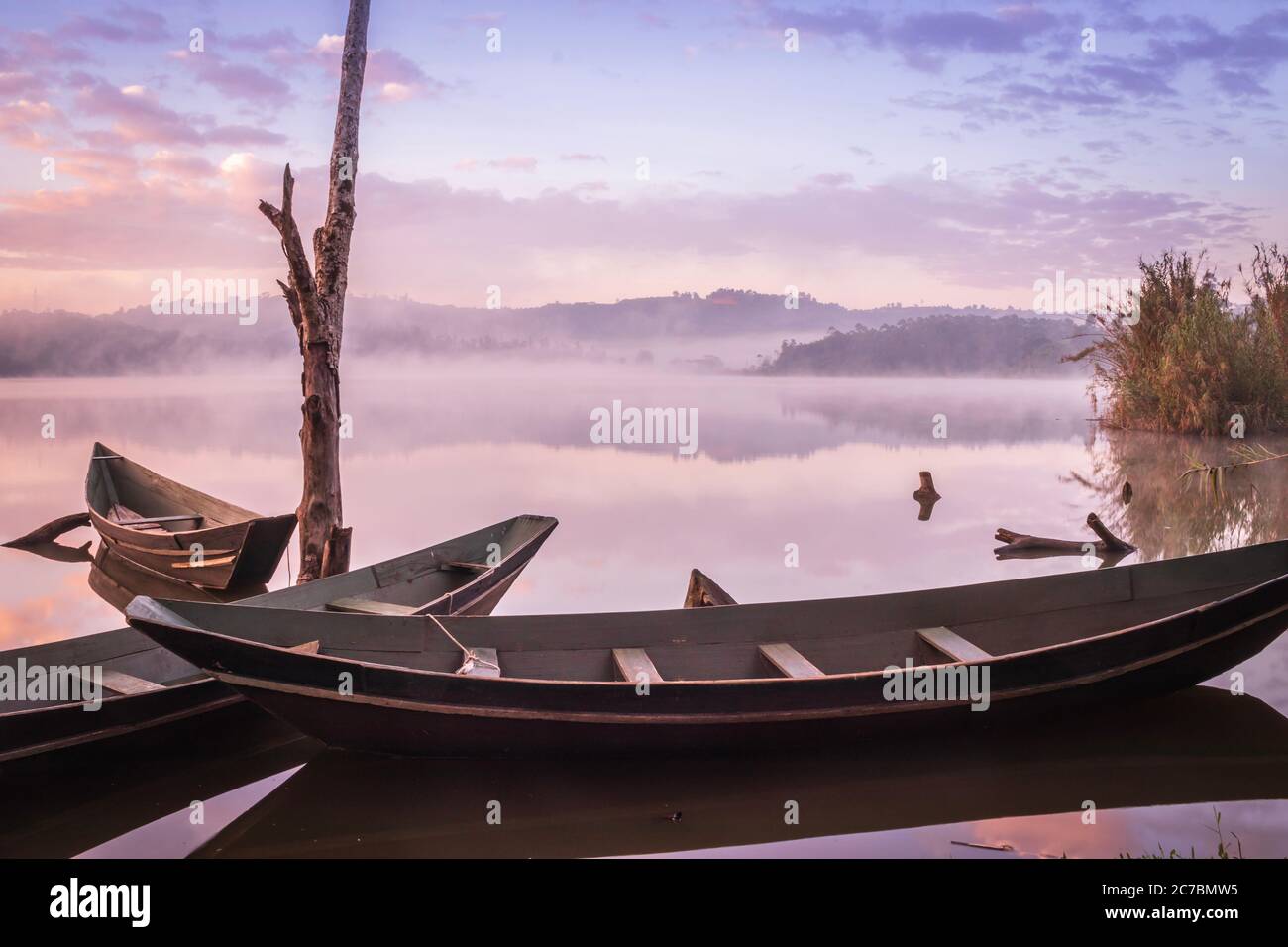 View of a wooden boats and big dry tree growing on Lake Nyabikere, with ...