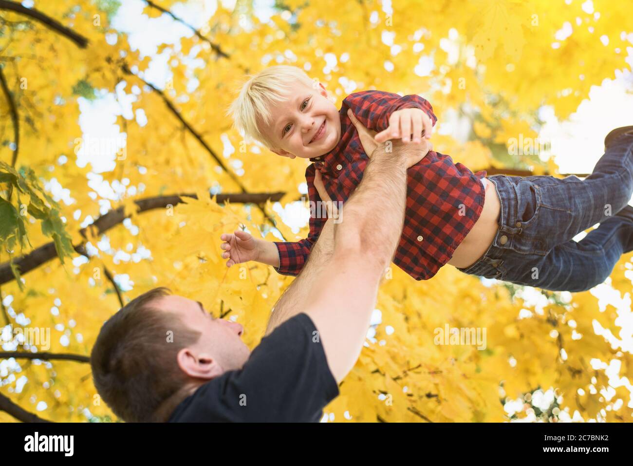 Father throws up his blond son. Yellow leaves on background. Family ...