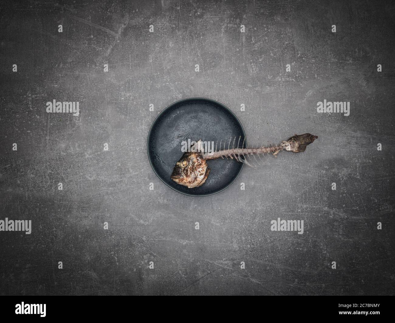 Skeleton sea breams - dorado sea fish on plate. Overhead shot with copy ...