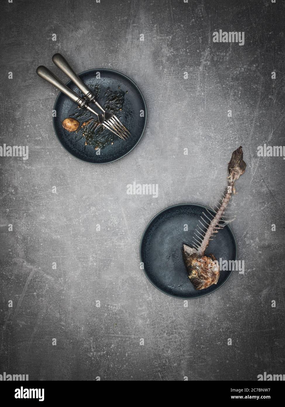 Skeleton sea breams - dorado sea fish on plate. Overhead shot with copy ...