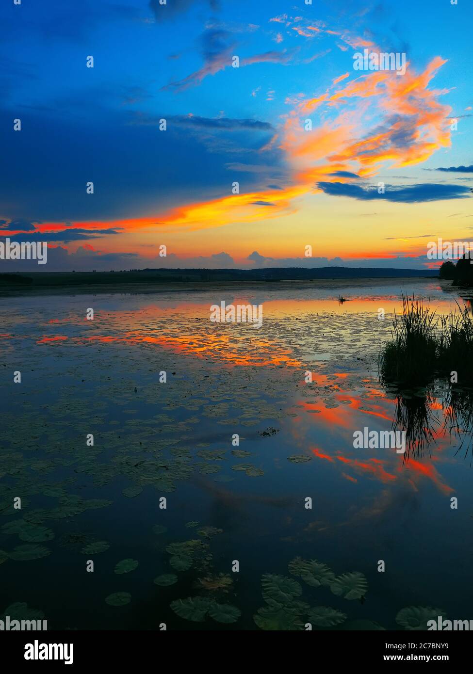 Dramatic sunset over the lake.Water lilies on the lake. Twilight ...