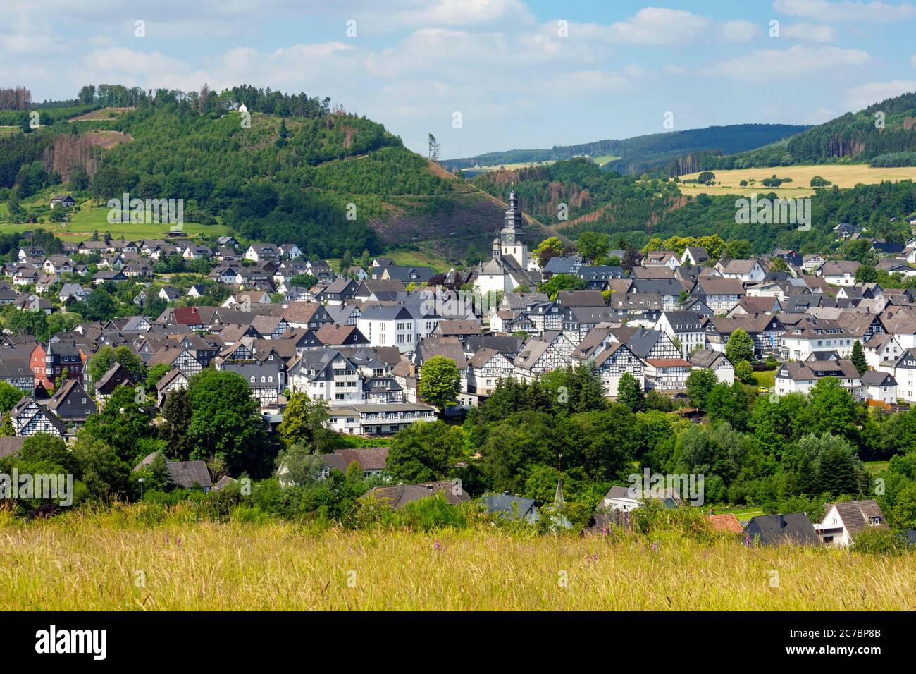 Deutschland, Nordrhein-Westfalen, Hochsauerlandkreis, Hallenberg ...