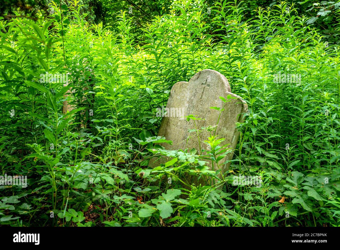 Denne road hi-res stock photography and images - Alamy