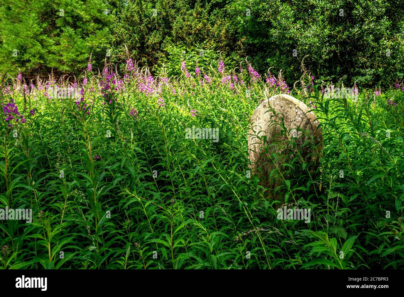 Denne road hi-res stock photography and images - Alamy