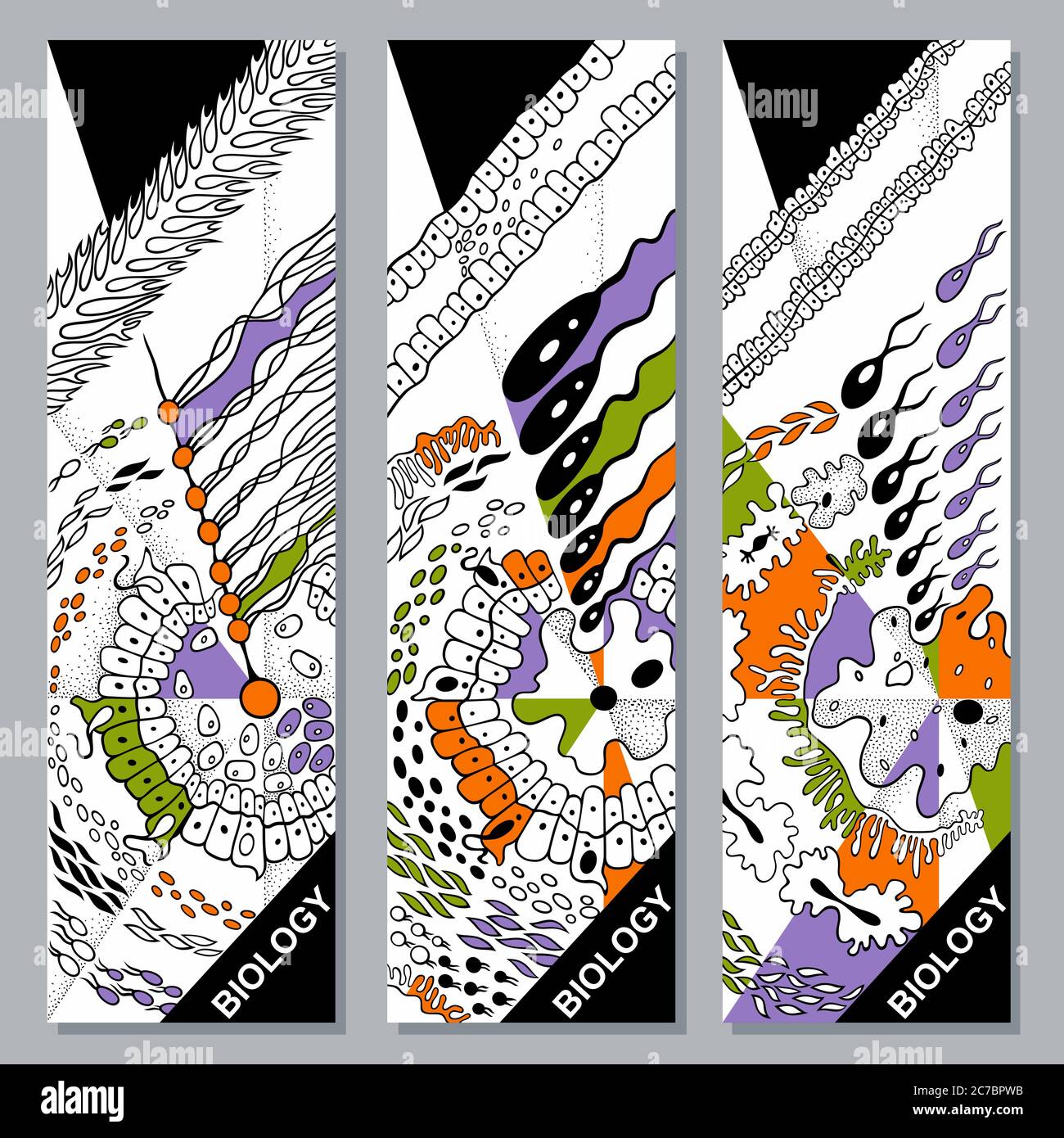 Set of hand drawn vector bookmarks biology Stock Vector Image & Art - Alamy