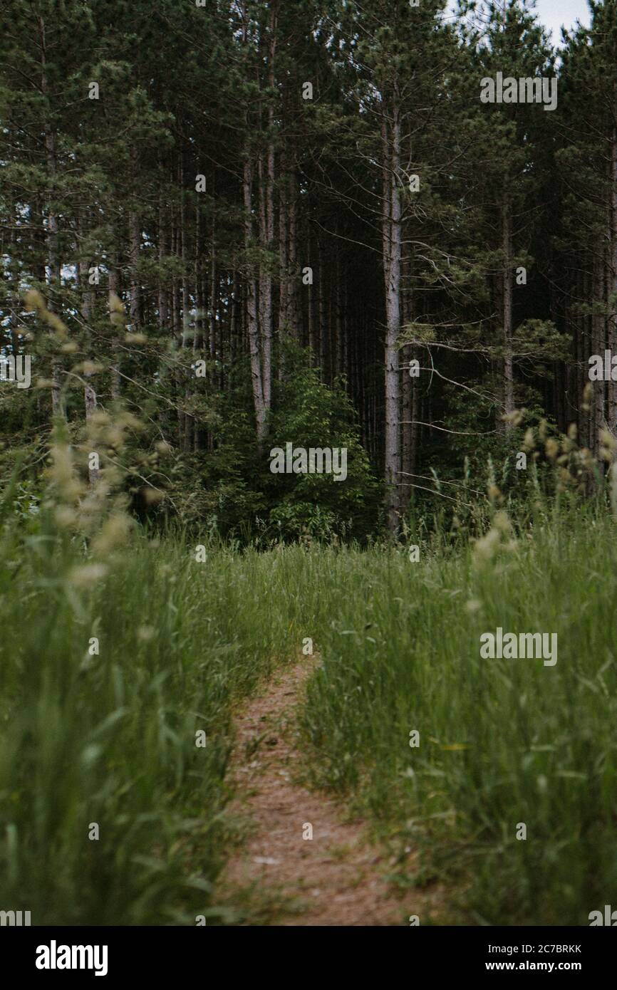 Desire path hi-res stock photography and images - Alamy