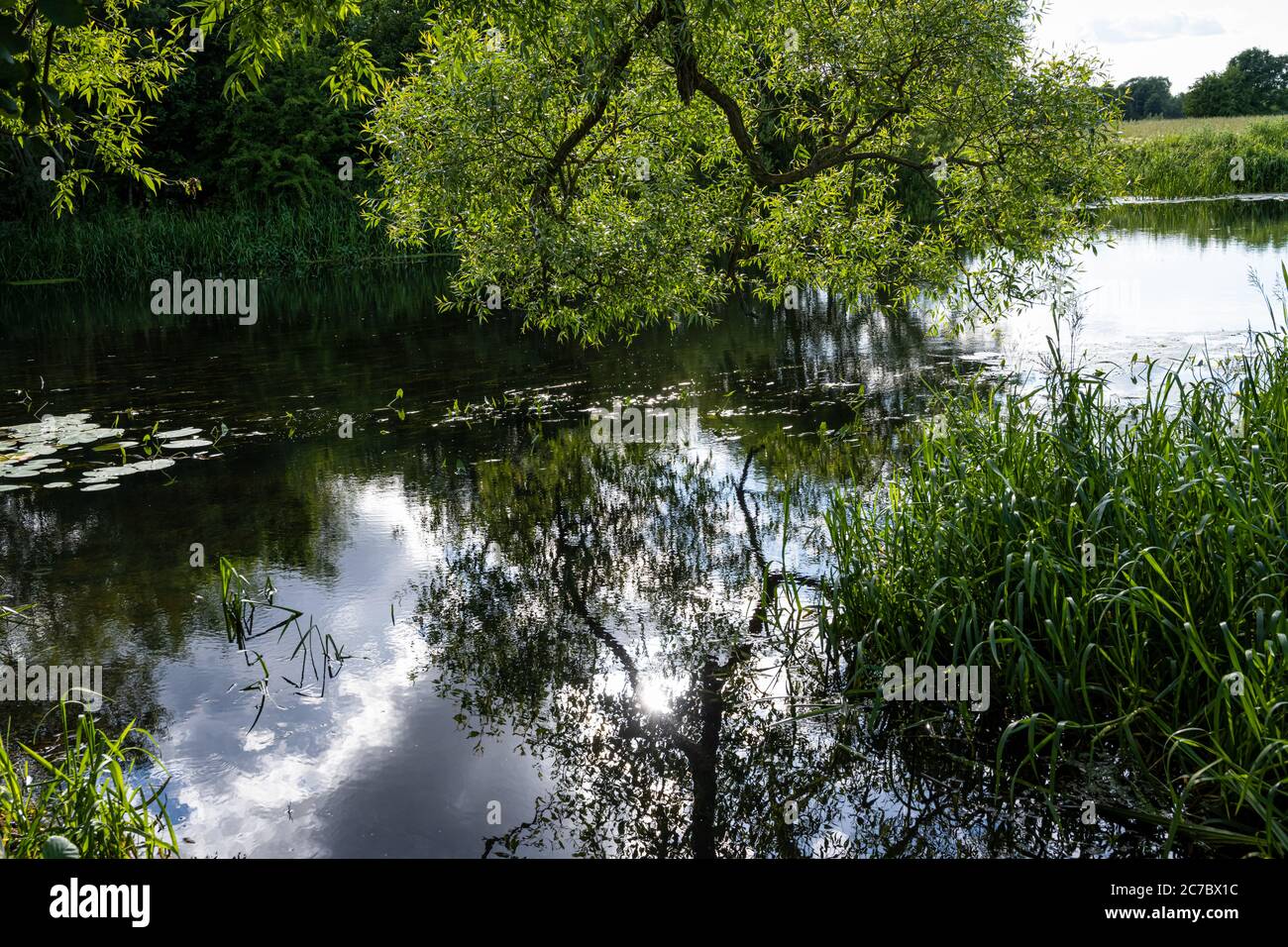 Beautiful murky river floating through a lush, green area. Reflections ...