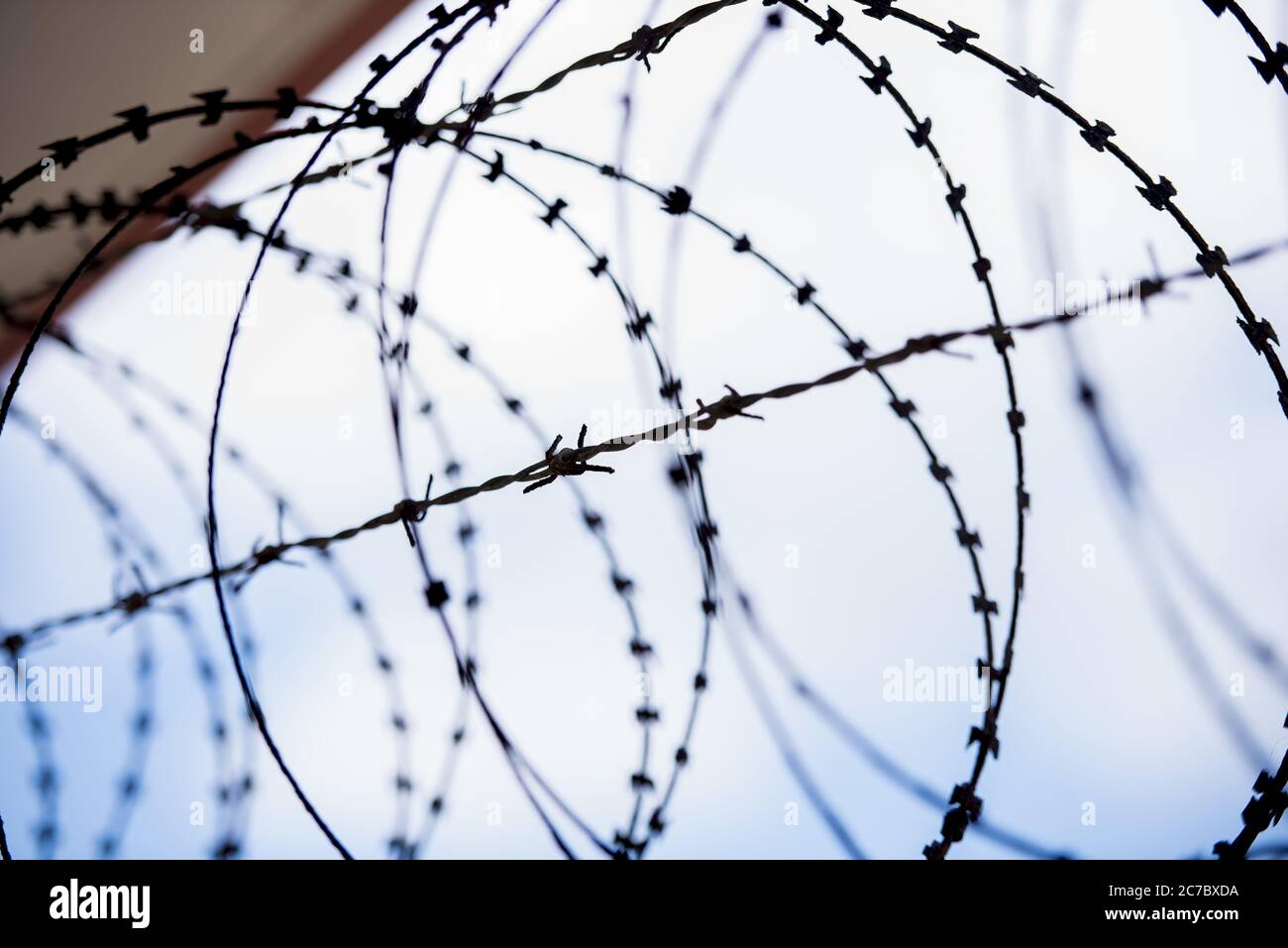 Barb wire vector hi-res stock photography and images - Alamy