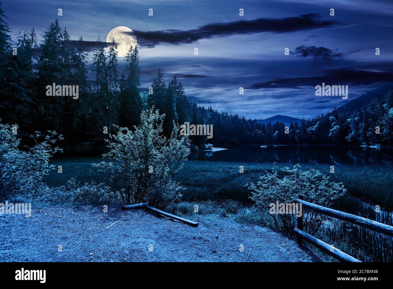 Moonlight lake shore night hi-res stock photography and images - Alamy