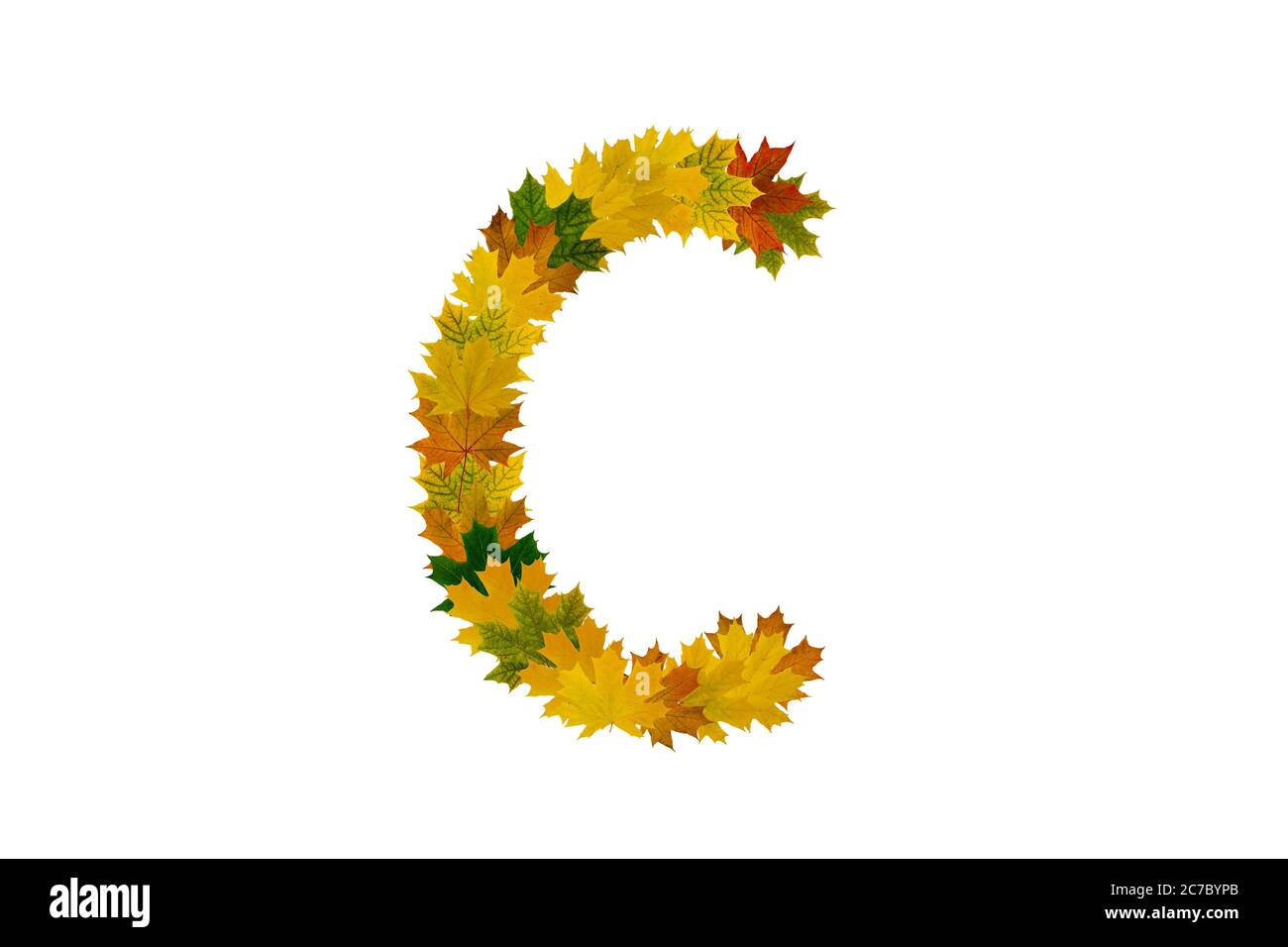Letter C from autumn maple leaves isolated on white background ...