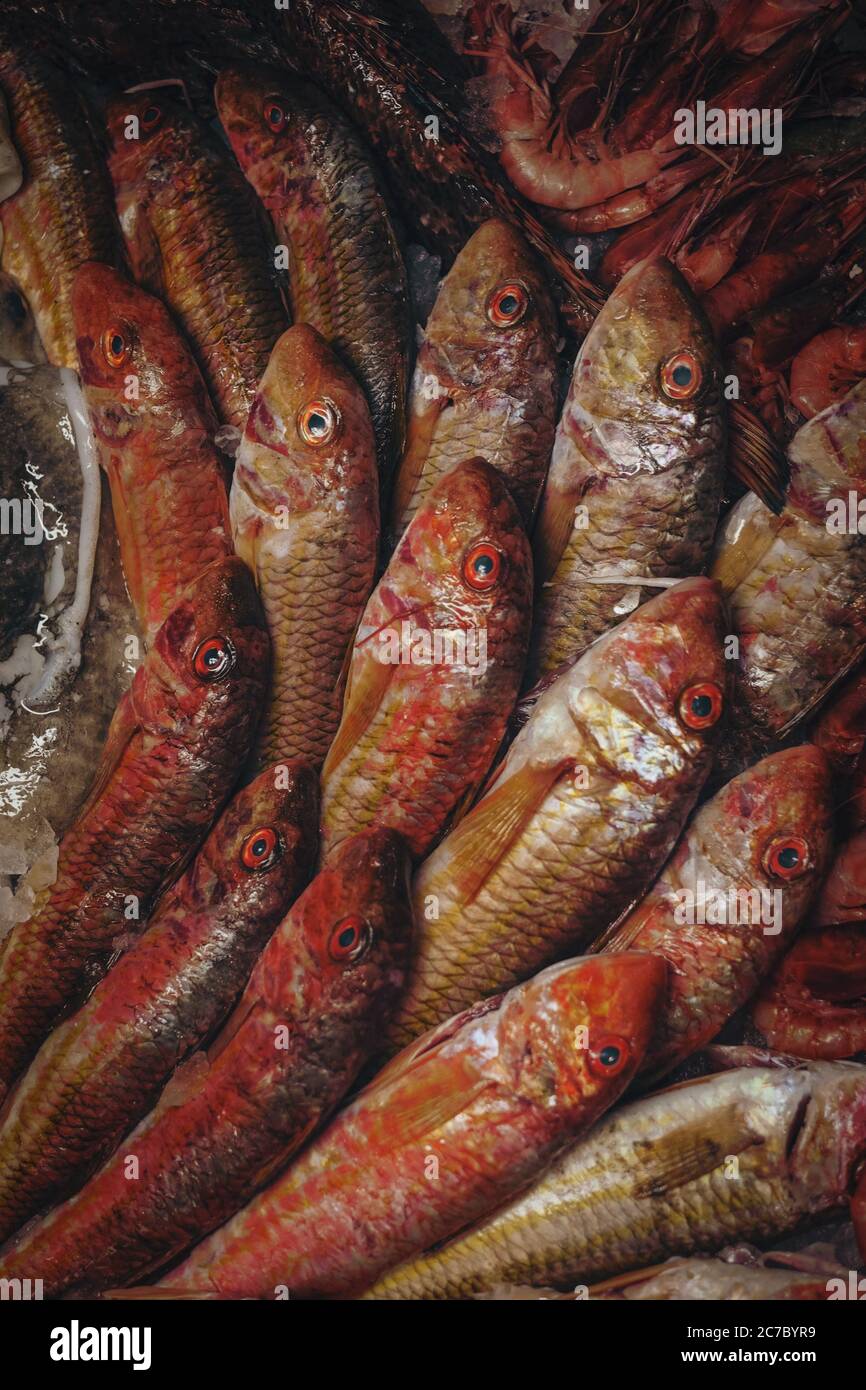 Cartoon crayfish hi-res stock photography and images - Alamy