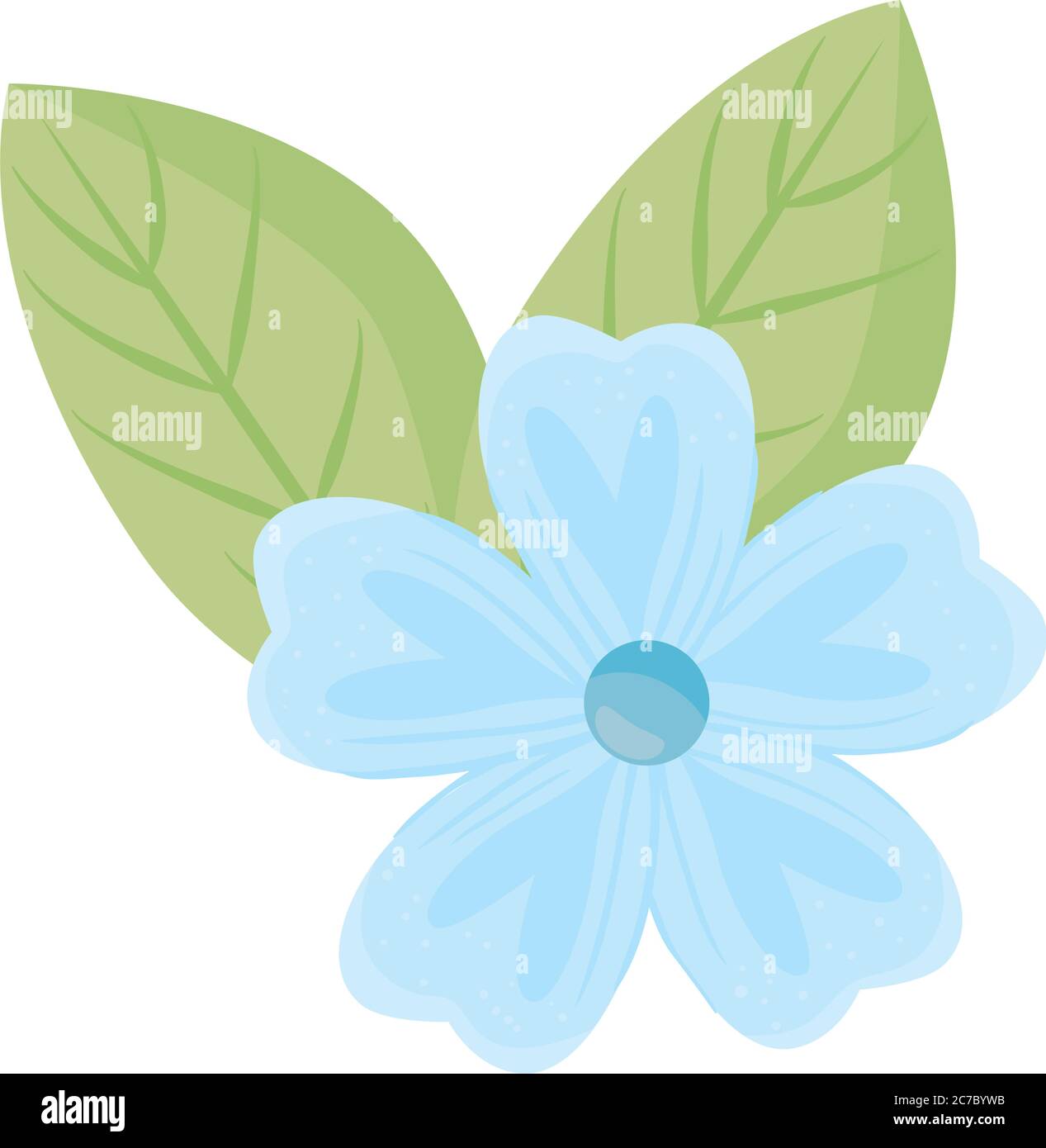 blue flower with leaves vector design Stock Vector Image & Art - Alamy