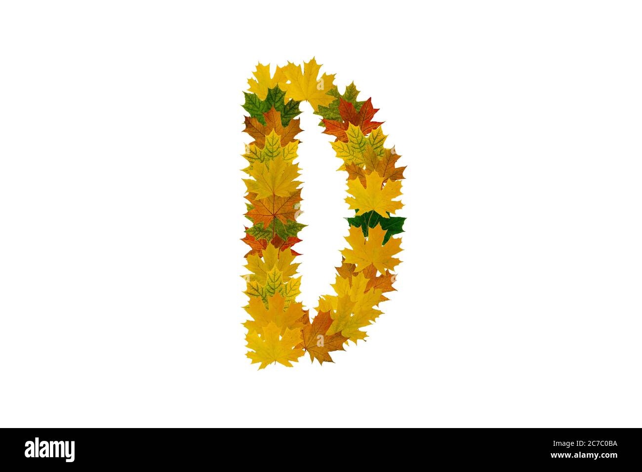 Letter D from autumn maple leaves isolated on white background ...