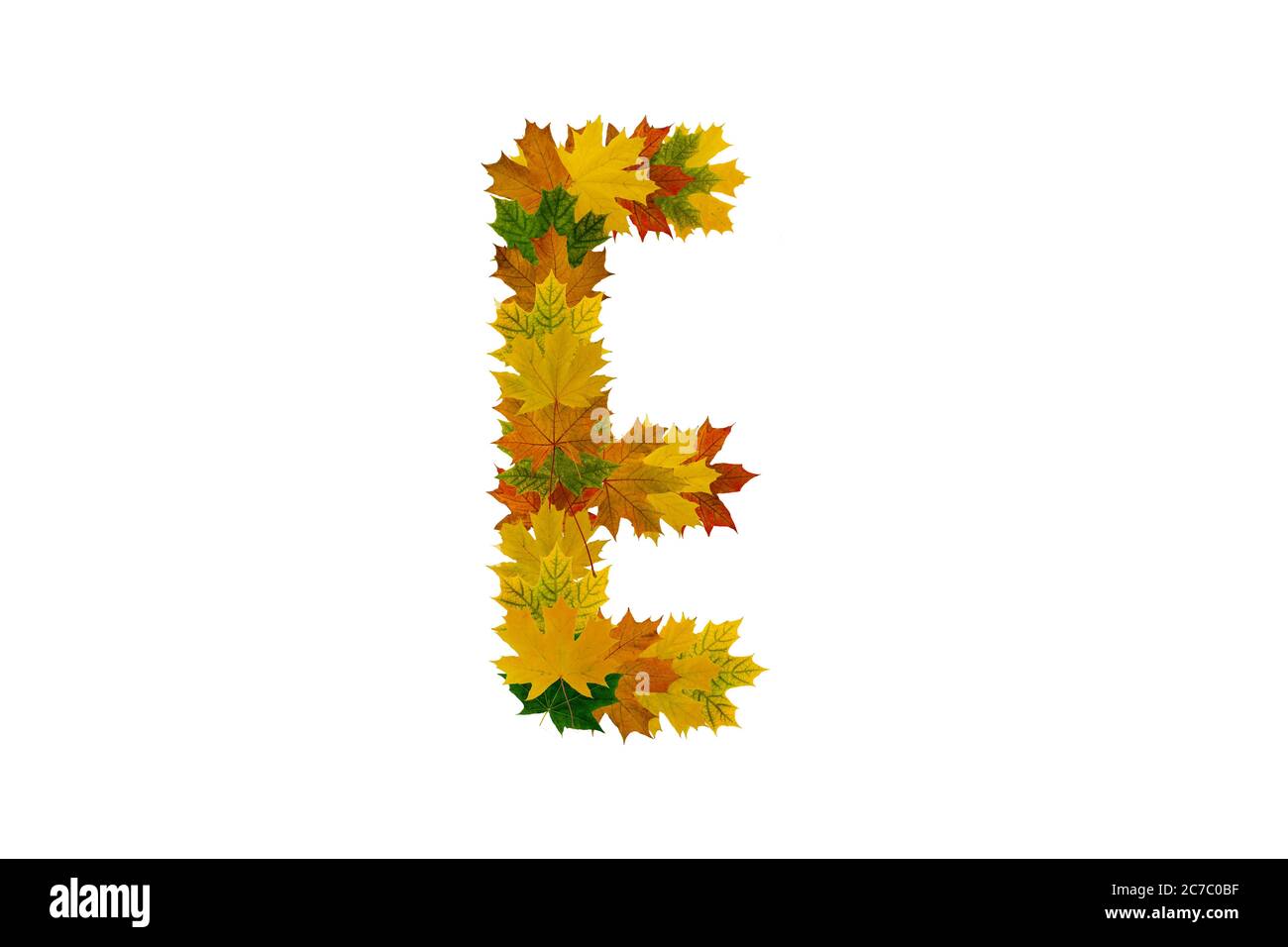 Letter E from autumn maple leaves isolated on white background ...