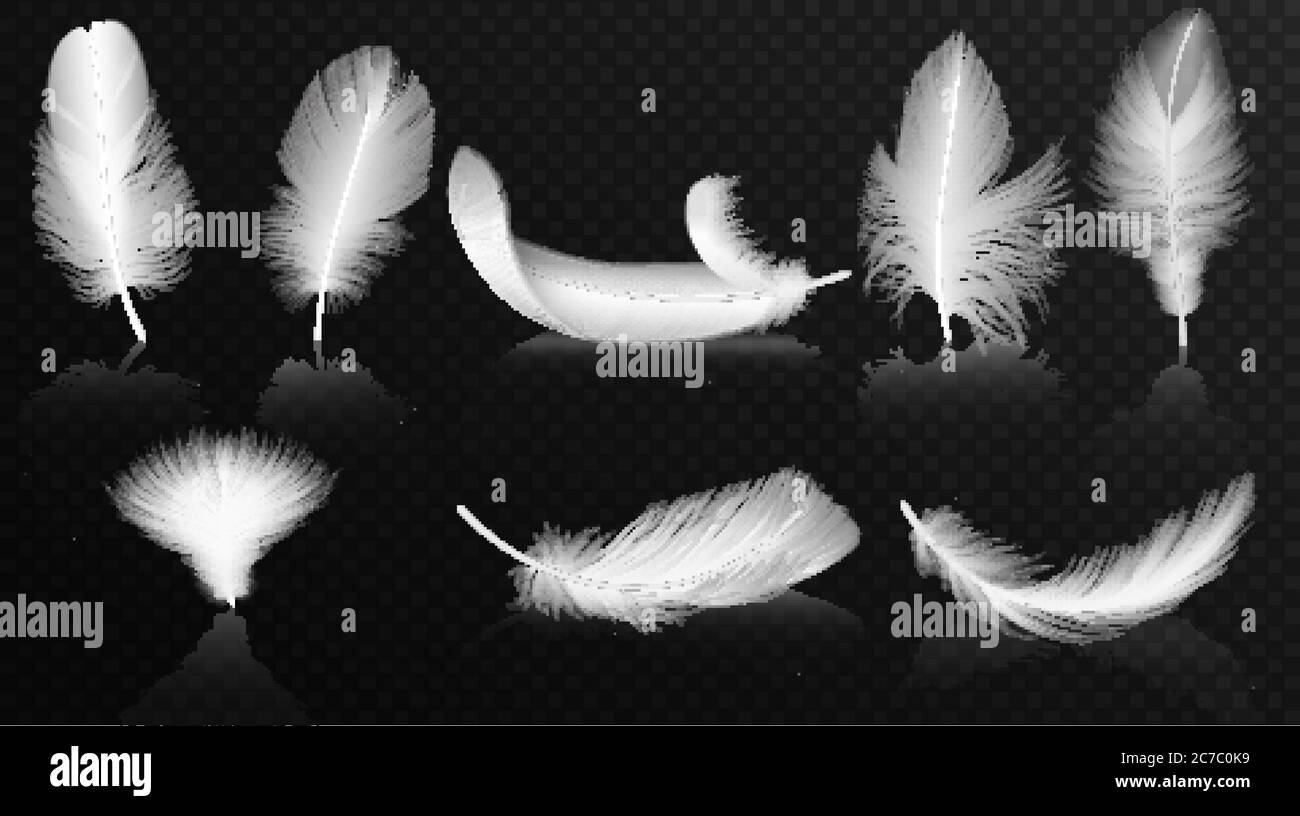 White Feather Falling