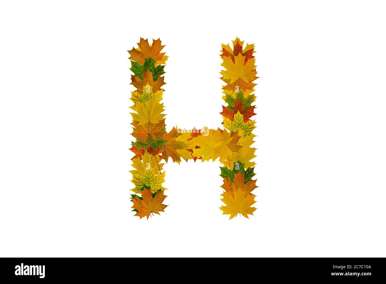 Letter H from autumn maple leaves isolated on white background ...