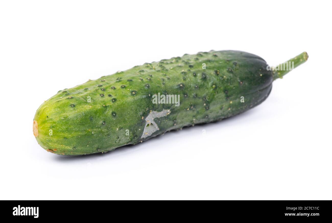 One defective spoiled cucumber isolated on white background Stock Photo ...