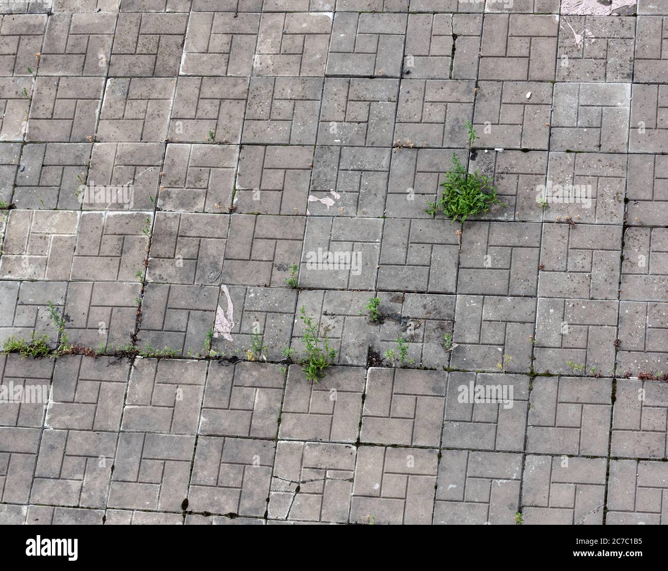 Old paving slabs hi-res stock photography and images - Alamy