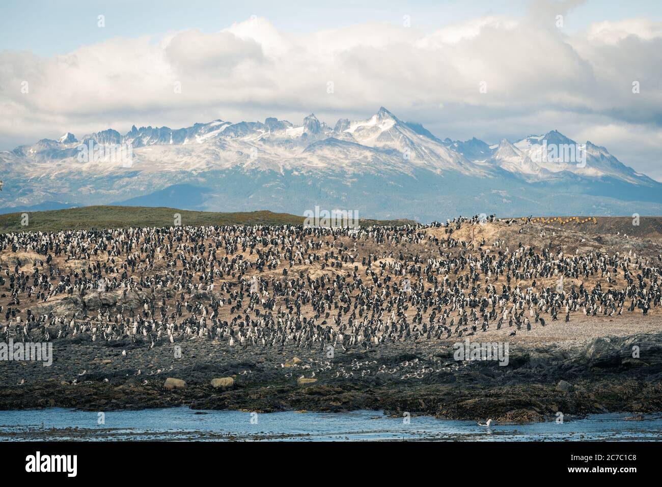 Ushuaia, City at the End of the World, Argentina. This is place is full ...