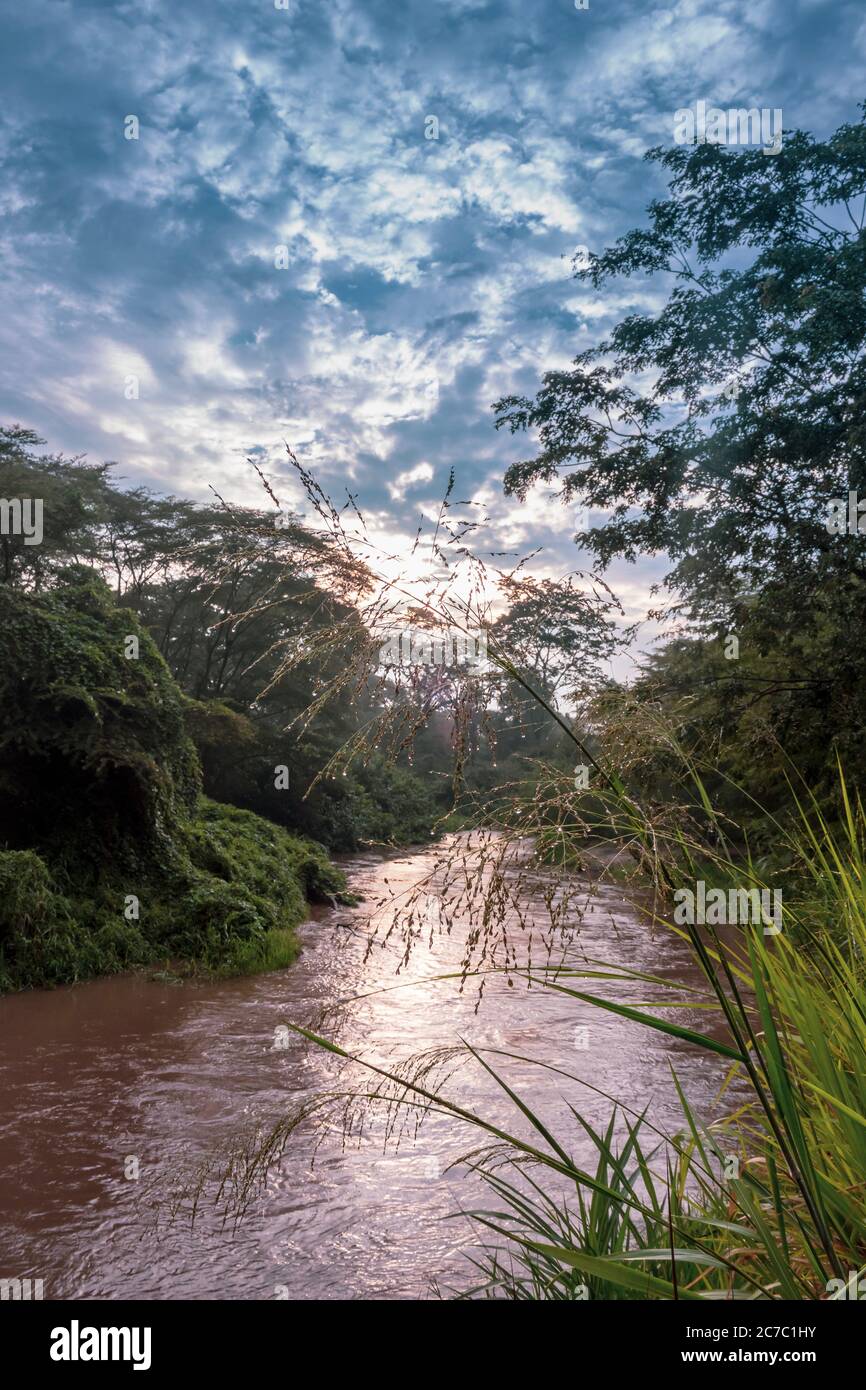 Ishasha river hi-res stock photography and images - Alamy