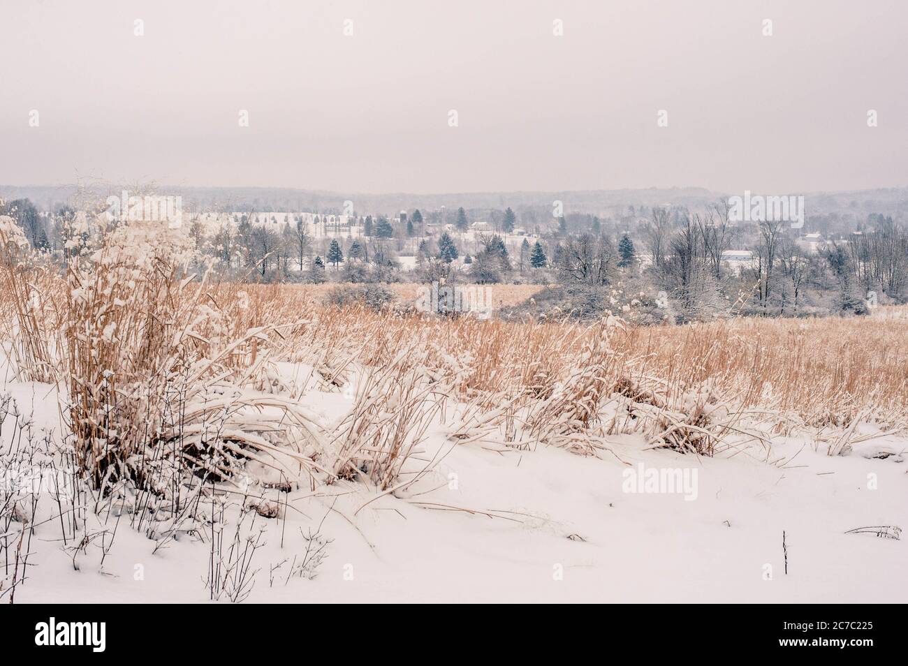 Beautiful shot of the amazing scenery of the snow-covered countryside ...